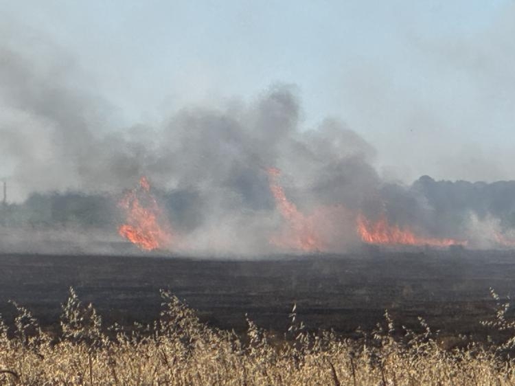 Deux champs en feu en Côtes-d’Armor en pleine moisson : 12 hectares ont ...