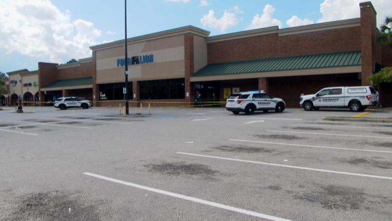 Dorchester County deputies investigate shooting at grocery store