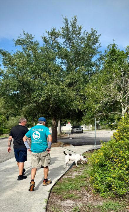 Good news: Florida animal shelter’s longest resident finds forever home
