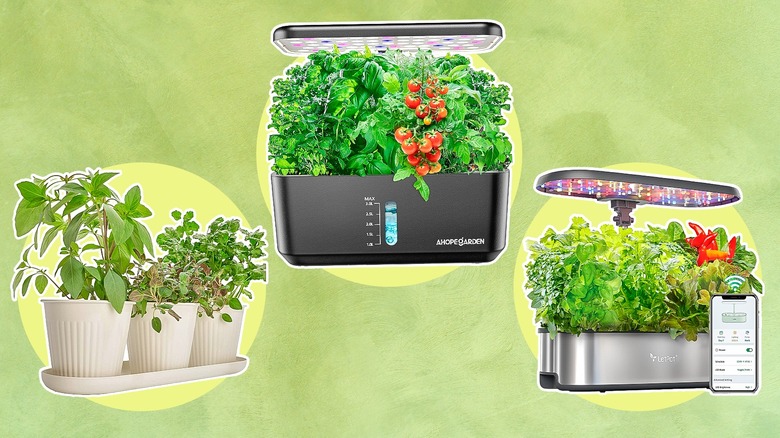 9 Absolute Best Indoor Garden Kits, According To Reviews