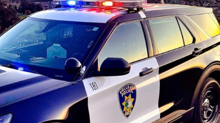 Vallejo police seek driver who fled scene after pedestrian killed in ...