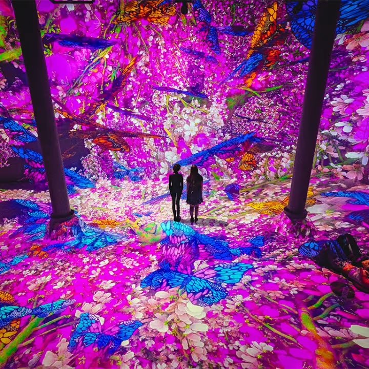 ARTECHOUSE PRESENTS: BLOOMING WONDERS, NYC