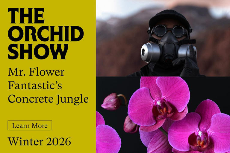 THE ORCHID SHOW: MR. FLOWER FANTASTIC'S CONCRETE JUNGLE AT NYBG, NYC