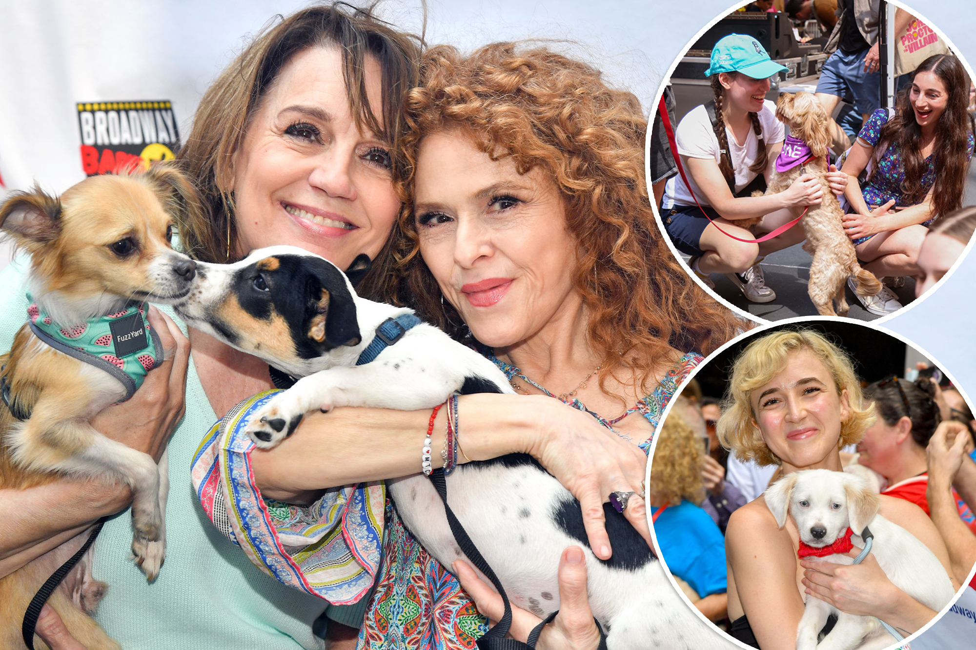 Bringing down the dog house: cute pets gather with stars at Shubert ...