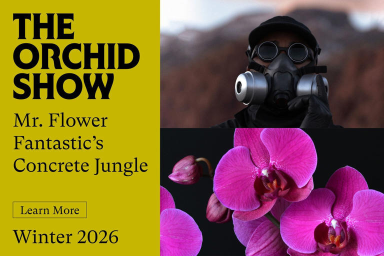 THE ORCHID SHOW: MR. FLOWER FANTASTIC'S CONCRETE JUNGLE AT NYBG, NYC