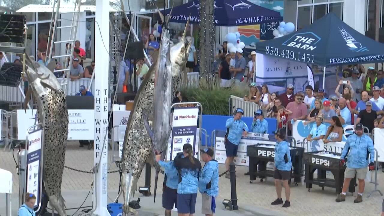 2025 Blue Marlin Grand Championship wraps up