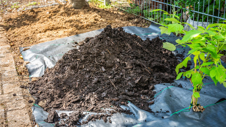 How To Choose Between Biodegradable Mulch And Landscaping Fabric For ...