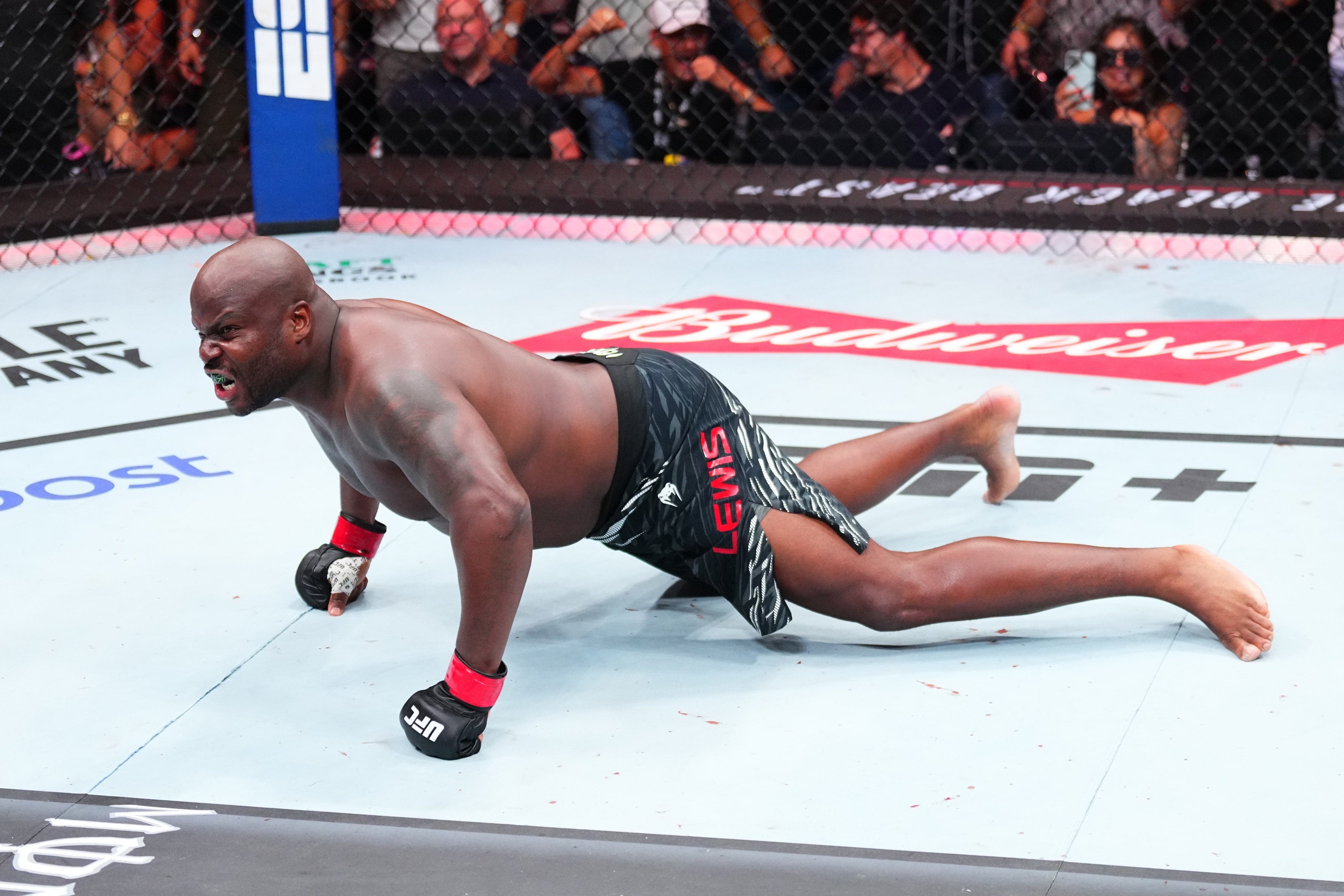 'Horrible stoppage': Fighters react to Derrick Lewis' TKO, celebration ...