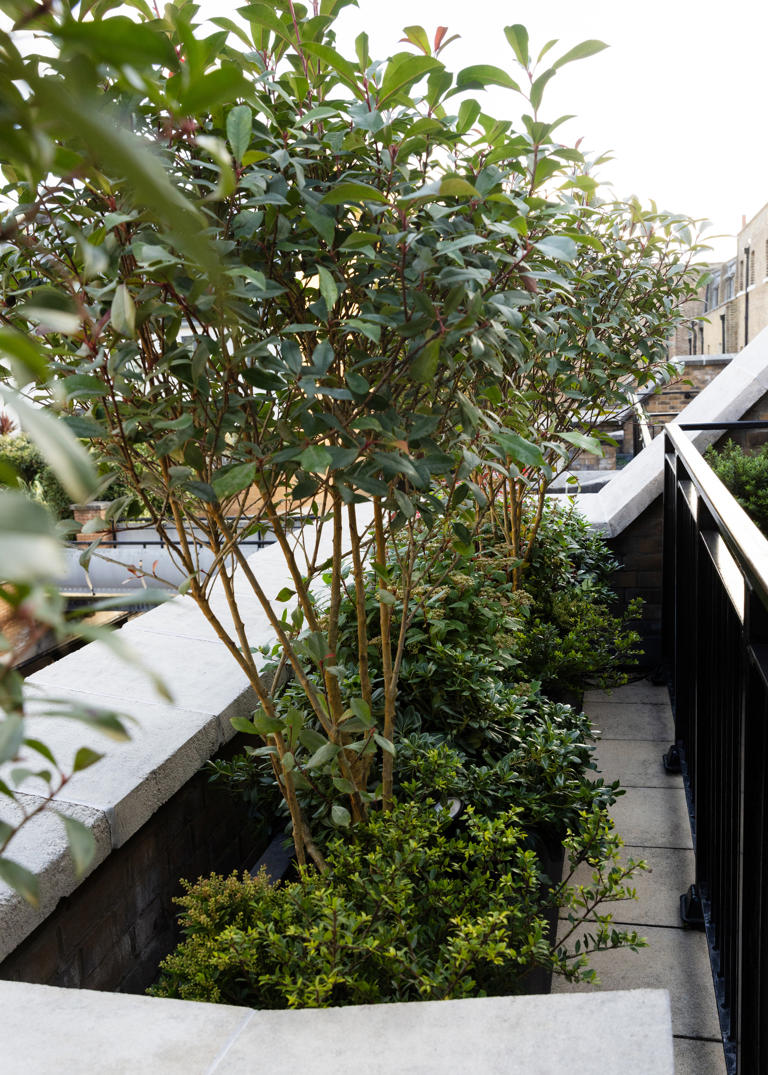 "The Ultimate Blend of Convenience and Design" — 11 Stylish Balcony ...