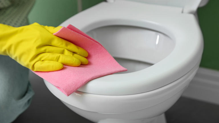 Is A Bamboo Toilet The Secret To A More Sanitary Bathroom? Here's The Truth