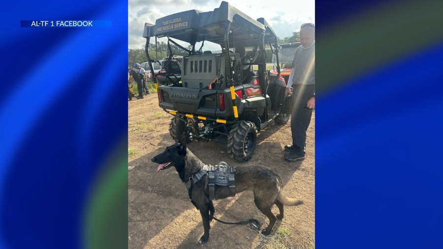 Alabama Task Force 1 continues search and rescue efforts in Texas