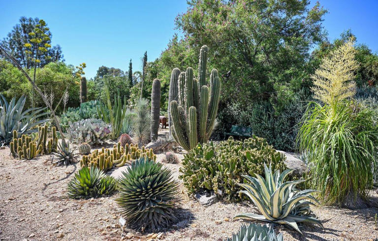 Clovis Botanical Garden's latest expansion was decades in the making ...