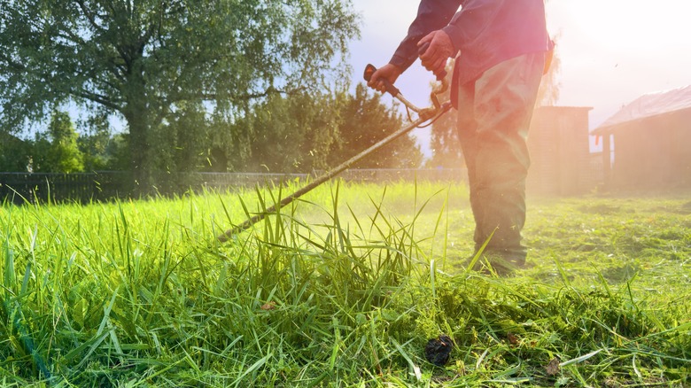 Common Mistakes To Avoid When Trying To Kill Weeds In Your Yard And Garden