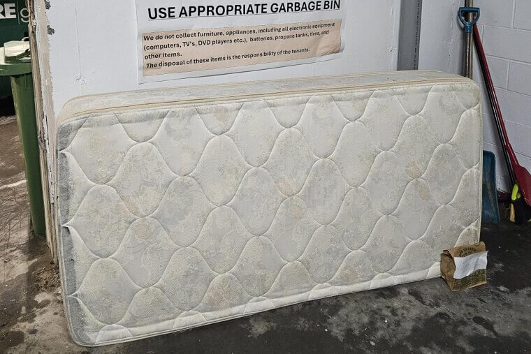 Never Throw These Items in the Trash and Here’s What to Do Instead