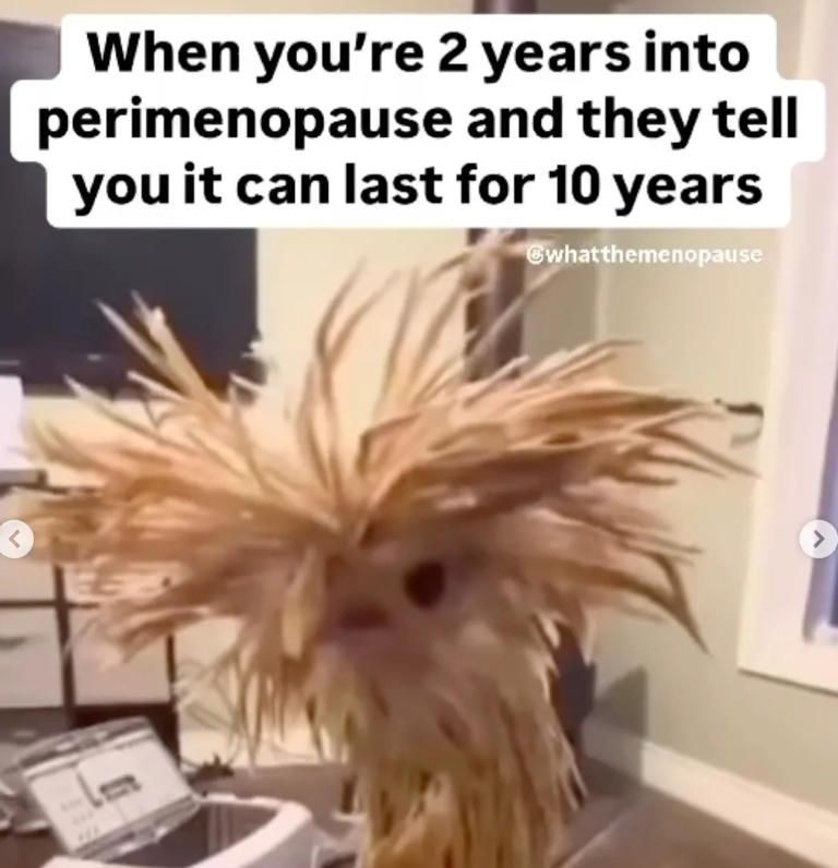 Why perimenopause memes are taking over your feed