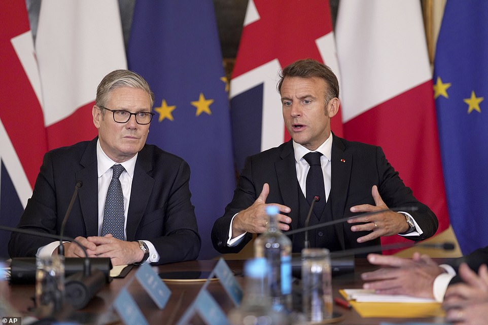 Meet the titans: The world's 10 biggest animals by size