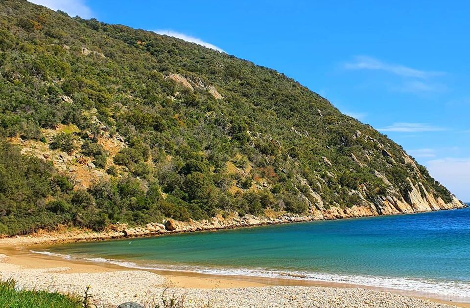 Σήμερα εξερευνούμε την «ξανθιά» ακτή της Χαλκιδικής