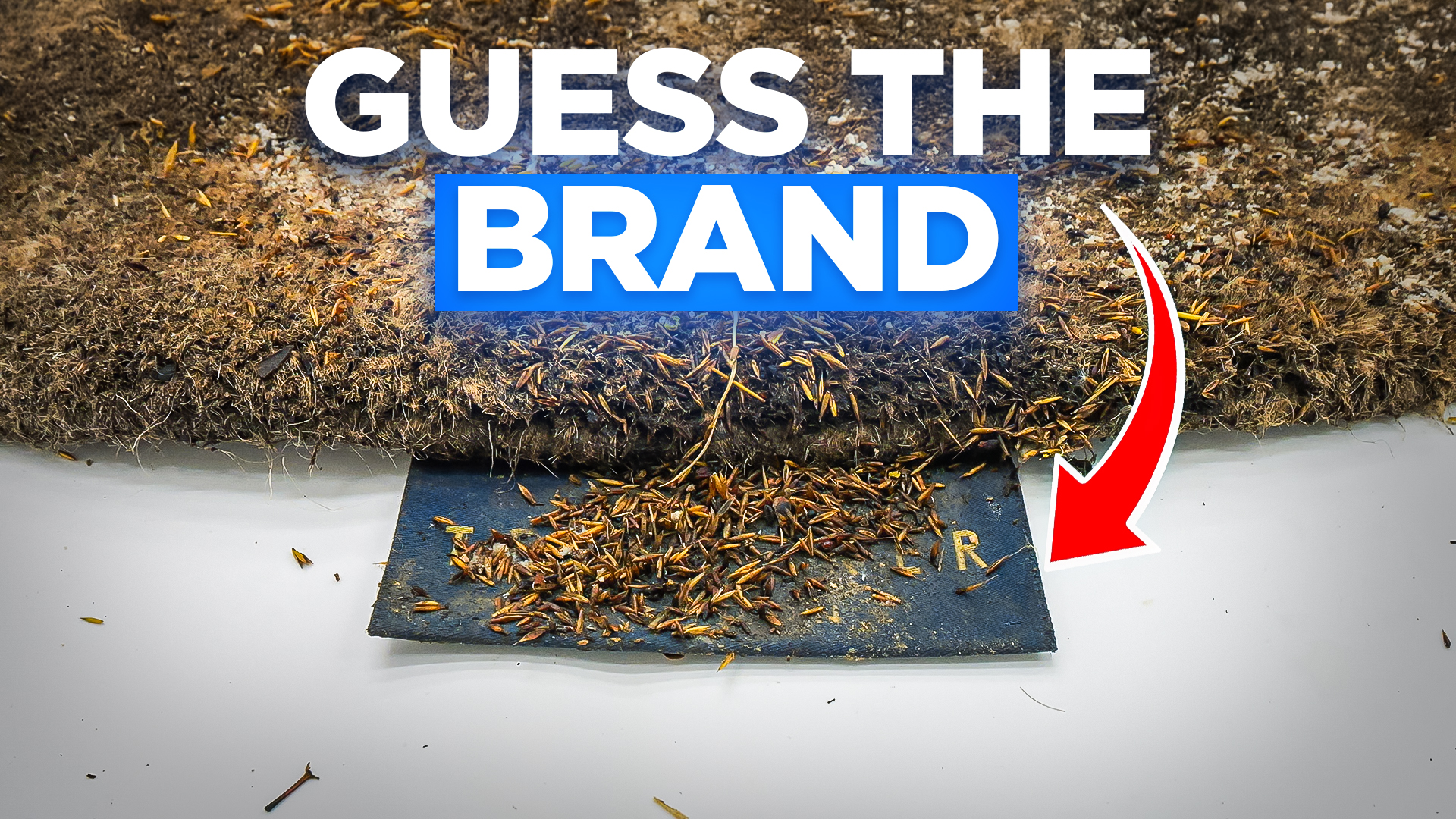 Restoring a Designer Rug