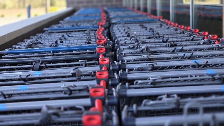 You Don't Need A Quarter For A Cart At Aldi If You Carry This Tool