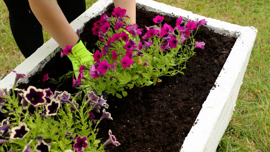 Simple Steps to Make a DIY Trough Planter