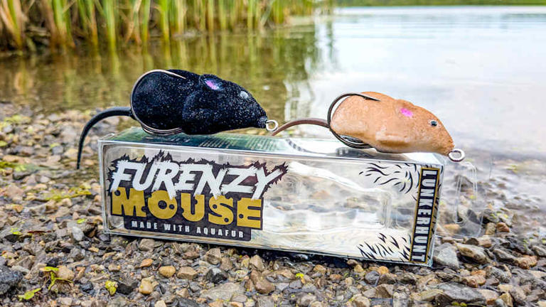Top 3 Fishing Stories of the Week: New Topwater Mouse, How to Fish ...