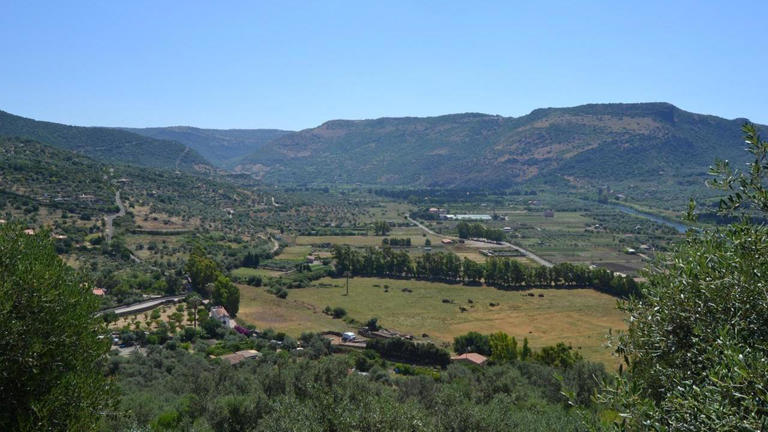 10 Weak Pokemon That Are Strong in the TCG