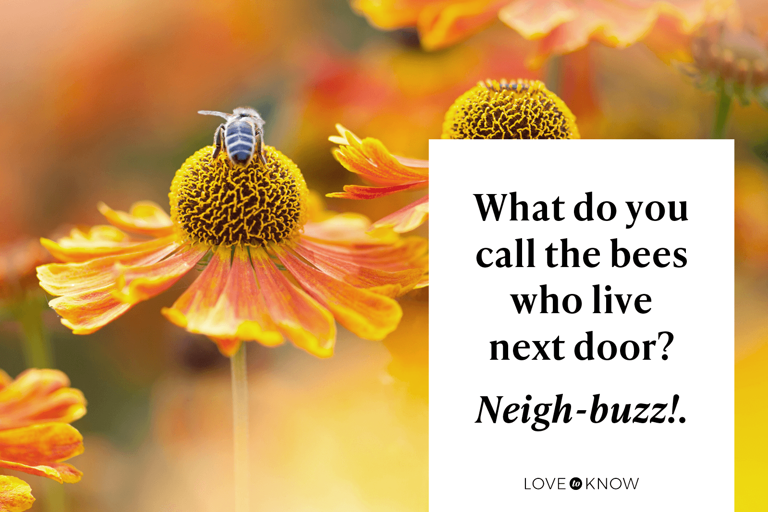 51 Funny Bee Jokes That Will Bring a Swarm of Laughs