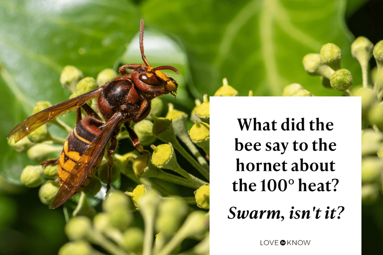 51 Funny Bee Jokes That Will Bring a Swarm of Laughs