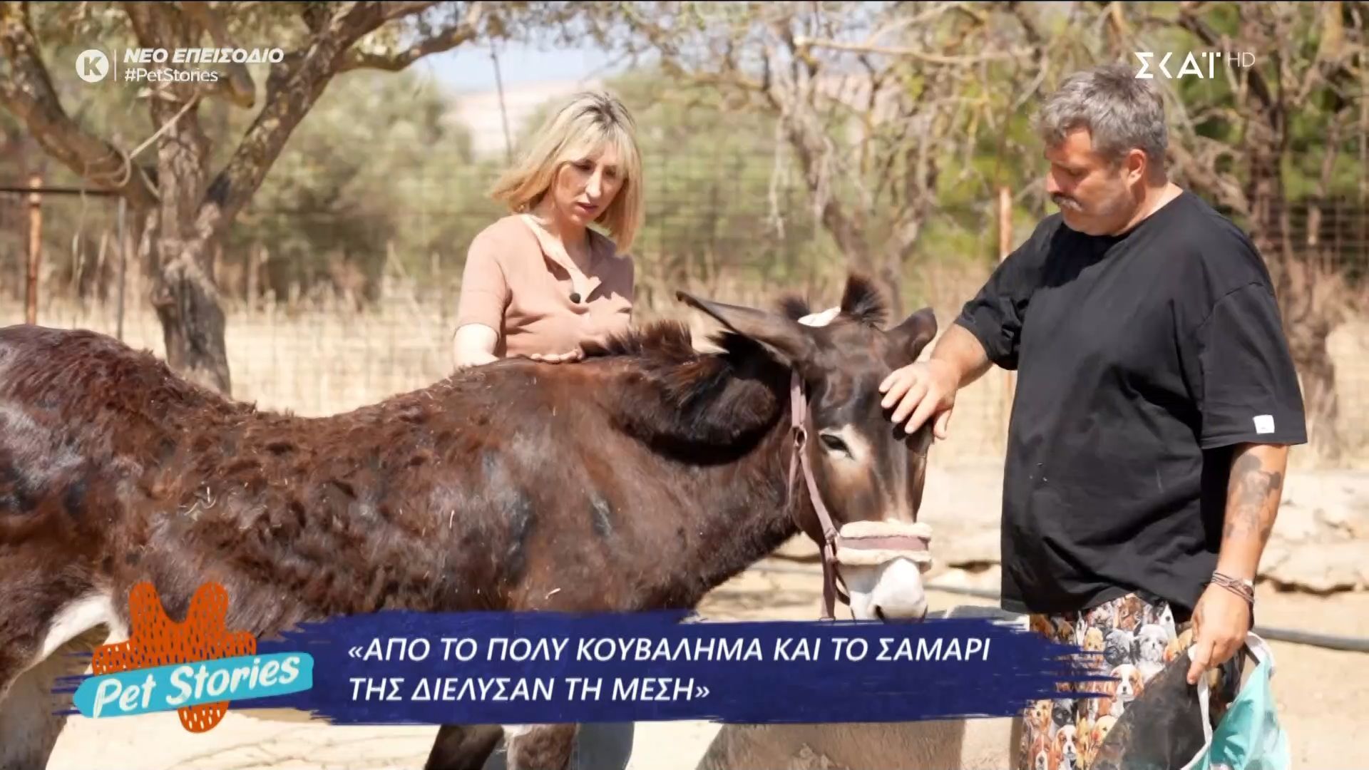 Κακοποιημένο γαϊδουράκι: Από το πολύ κουβάλημα και το σαμάρι του ...