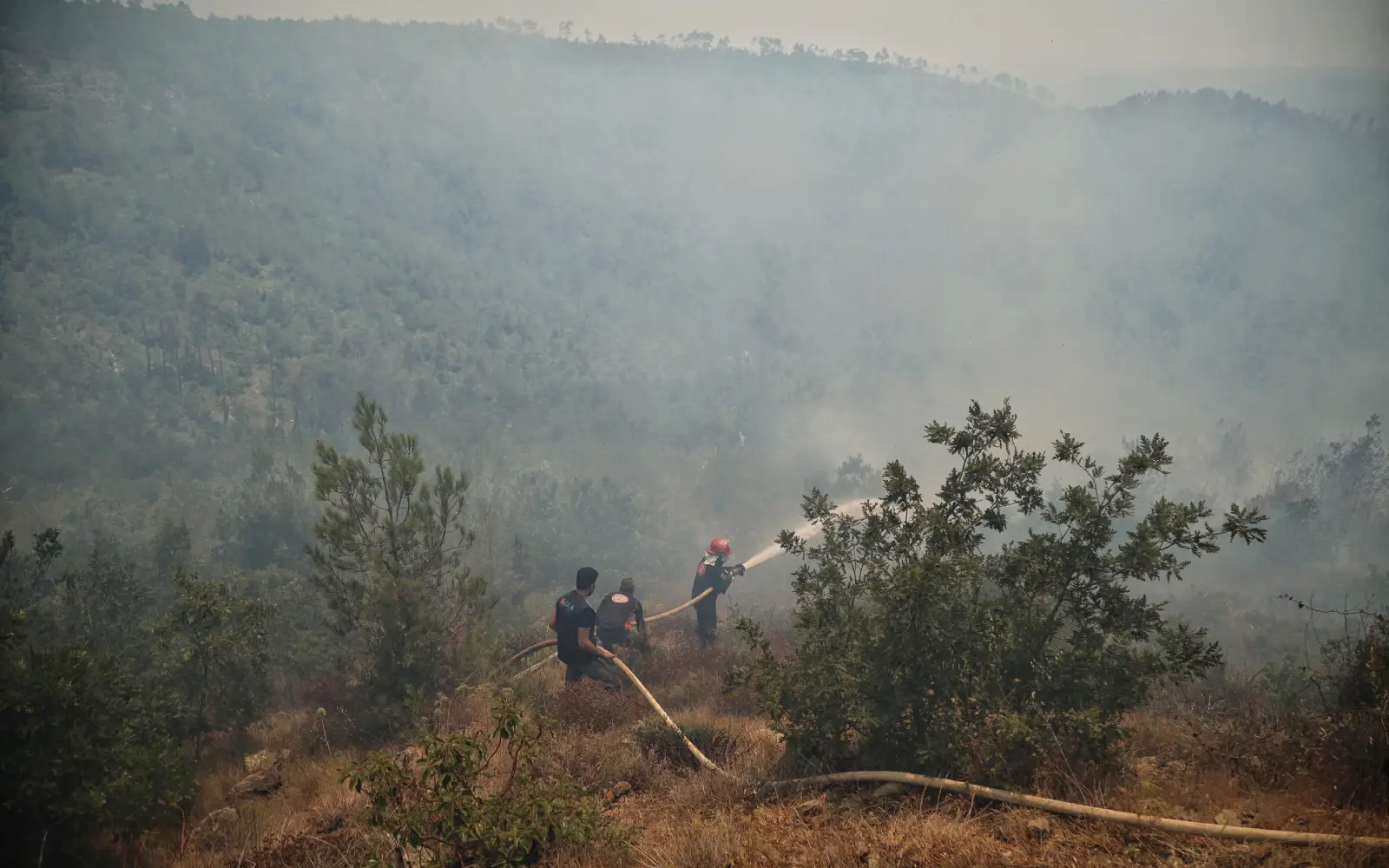 Syria says wildfires contained after 10 days
