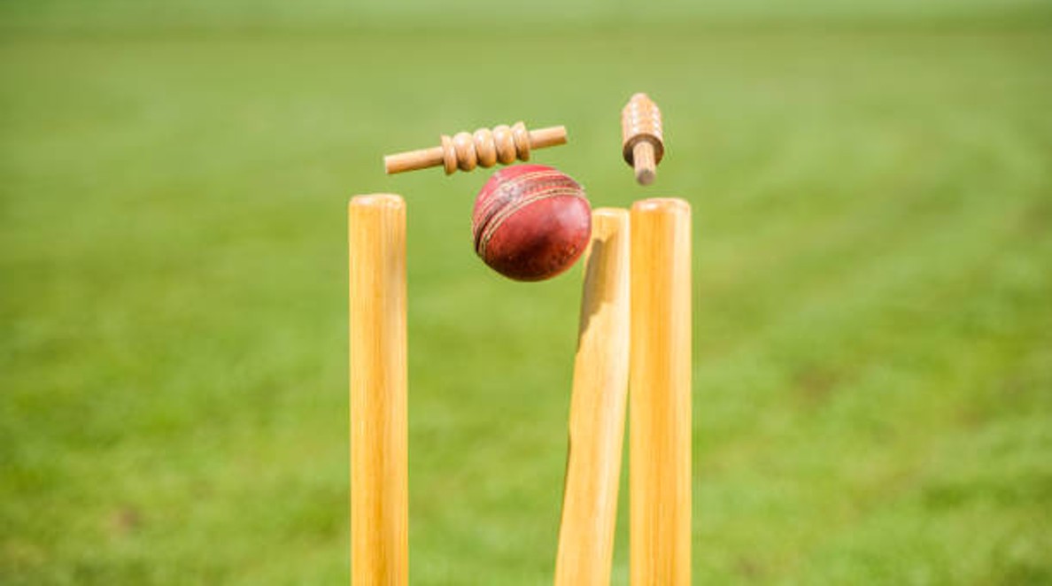 What Is 'Stumps' in Test Matches?