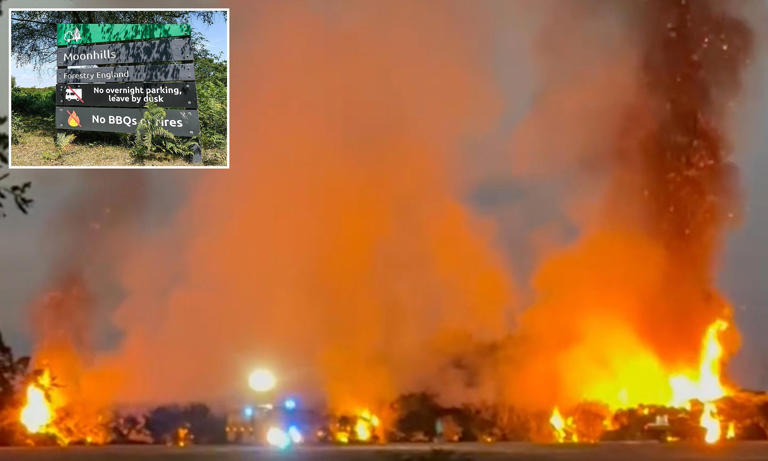 Huge wildfire rages in the New Forest: Ferocious flames tower over fire ...
