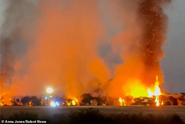 Huge wildfire rages in the New Forest: Ferocious flames tower over fire ...