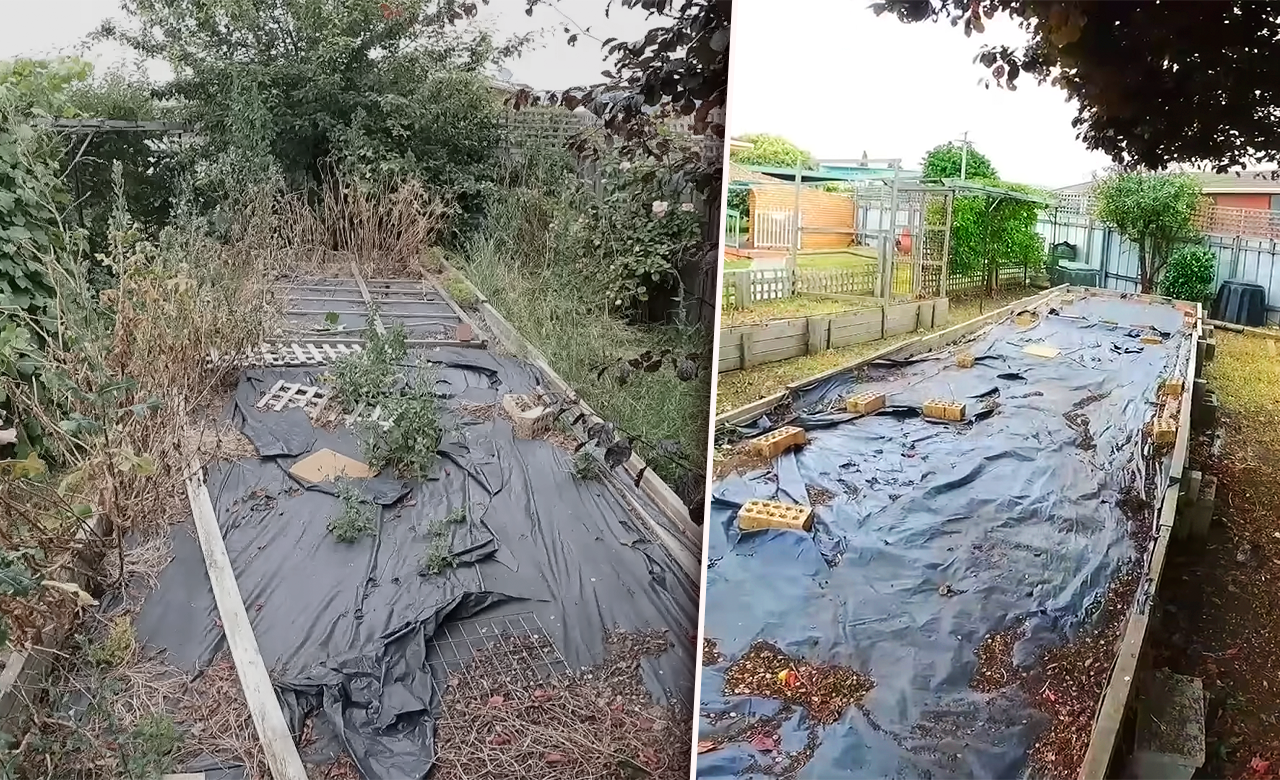 Crazy garden restoration: an amazing makeover!