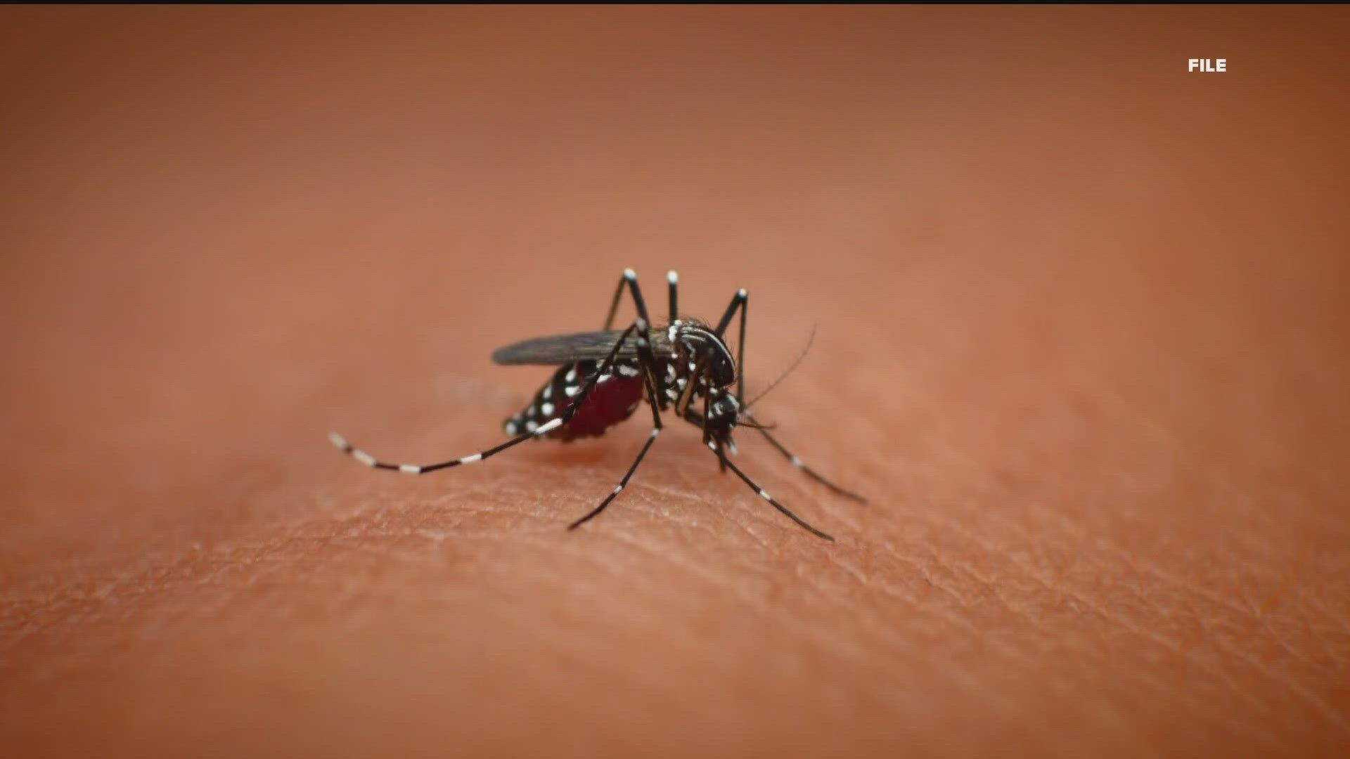 New study shows mosquitoes are drawn to DEET