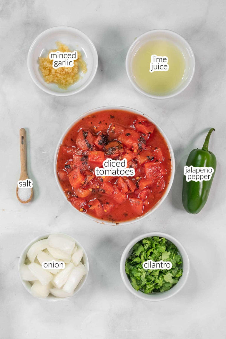 Salsa Recipe