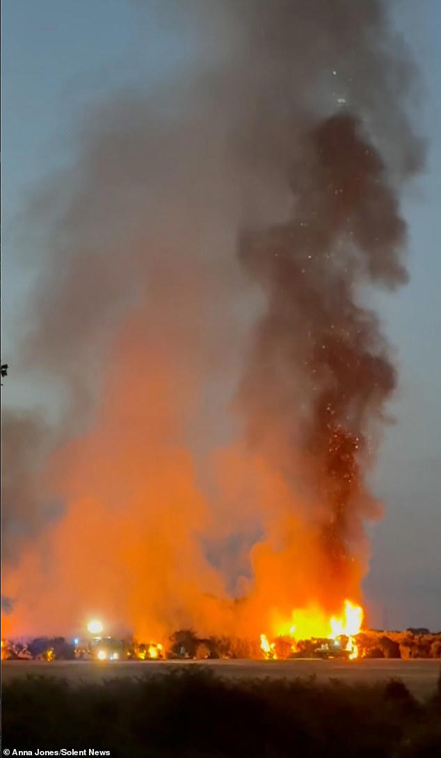 Huge wildfire rages in the New Forest: Ferocious flames tower over fire ...