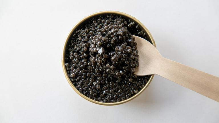 What Kind Of Fish Is Used To Make Caviar?