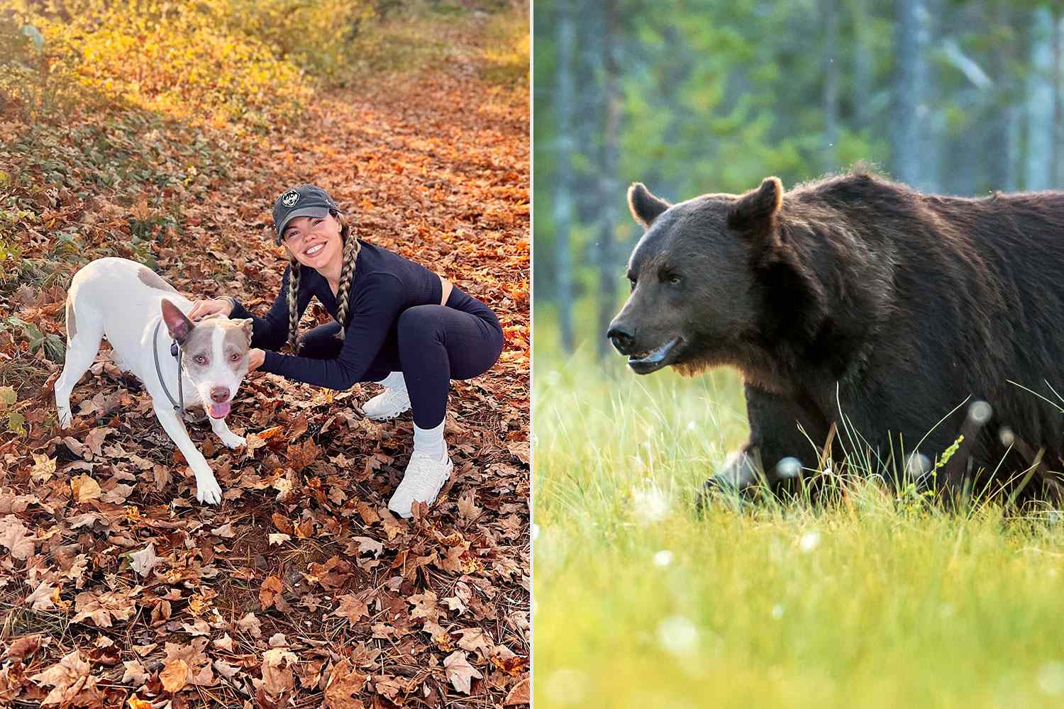 Woman Uses Metal Water Bottle to Fight Off Bear That Dragged Her Dog ...