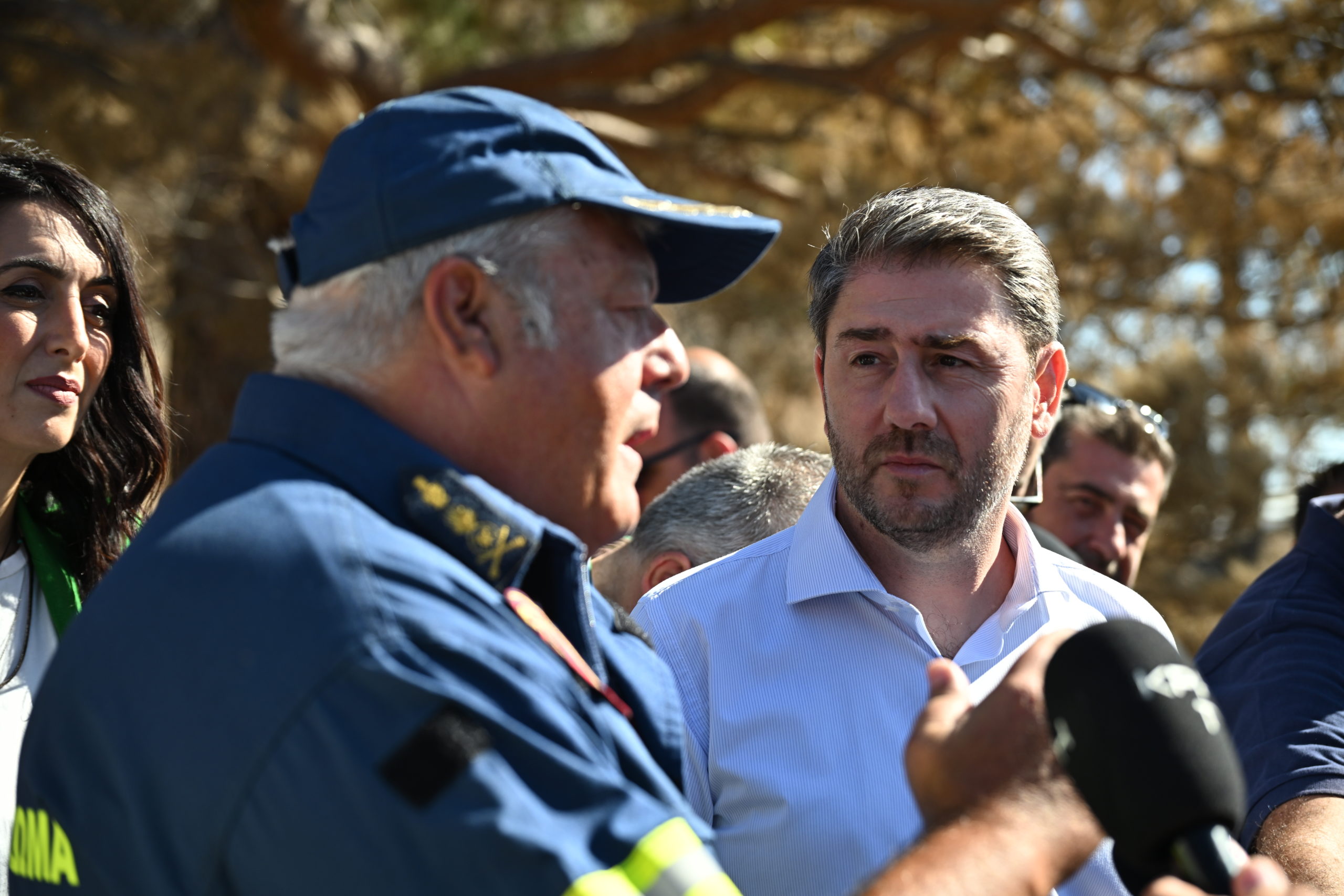 Ανδρουλάκης: «Δεν μπορεί κάθε χρόνο να κλαίμε πάνω από τα καμένα και σε ...