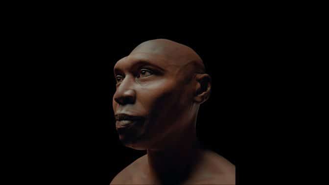 Ancient Humans Brought to Life—See the 3D Faces of the ‘Hobbit ...