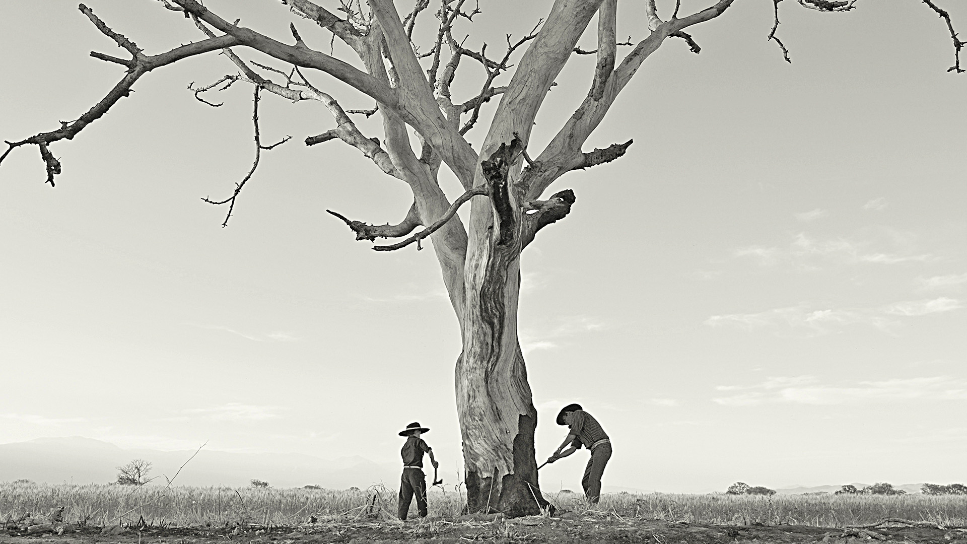 Gaucho Gaucho - Die Schönheit Argentiniens in schwarz-weiß