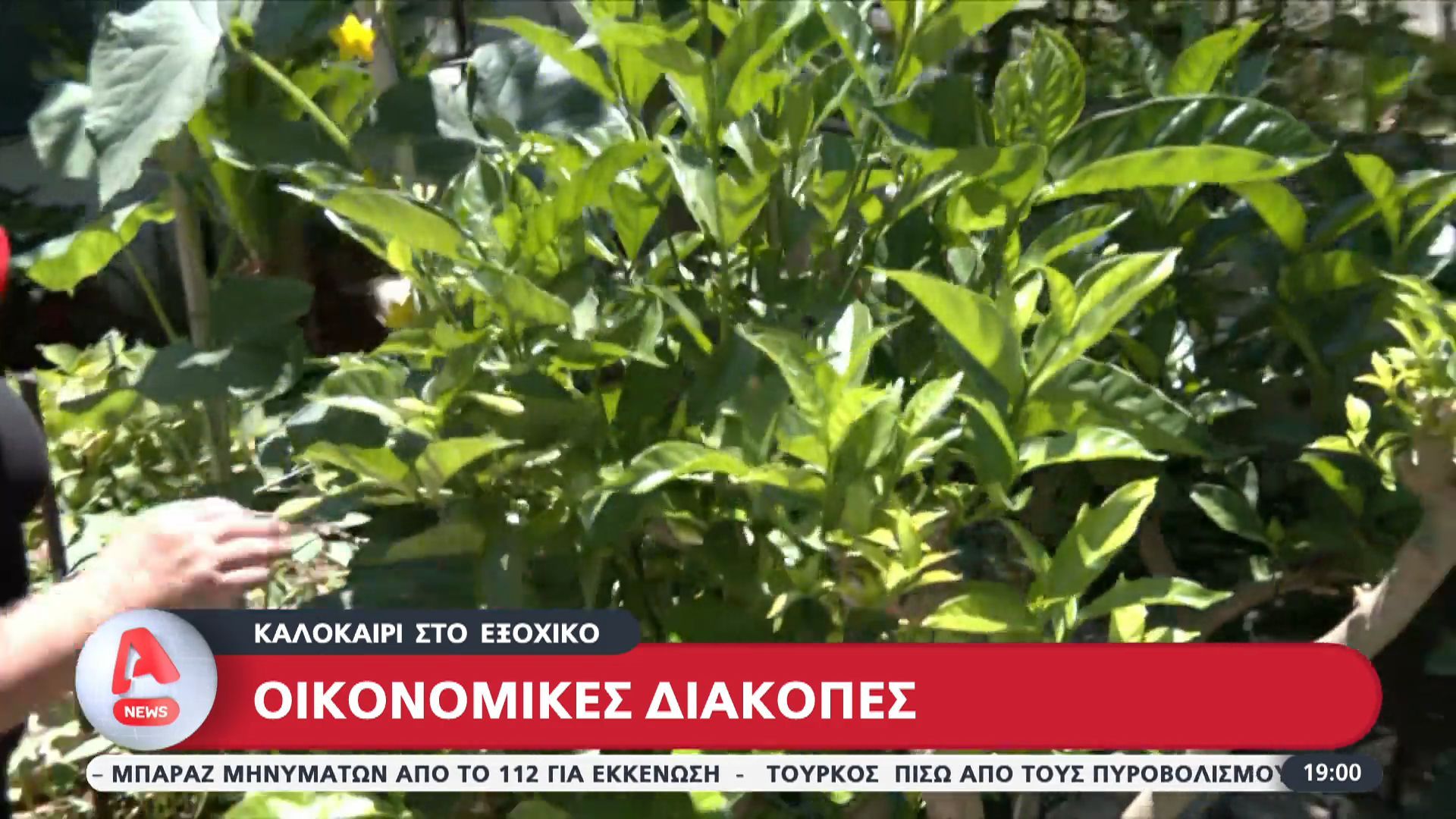 Καλοκαίρι στο εξοχικό: Οικονομικές διακοπές