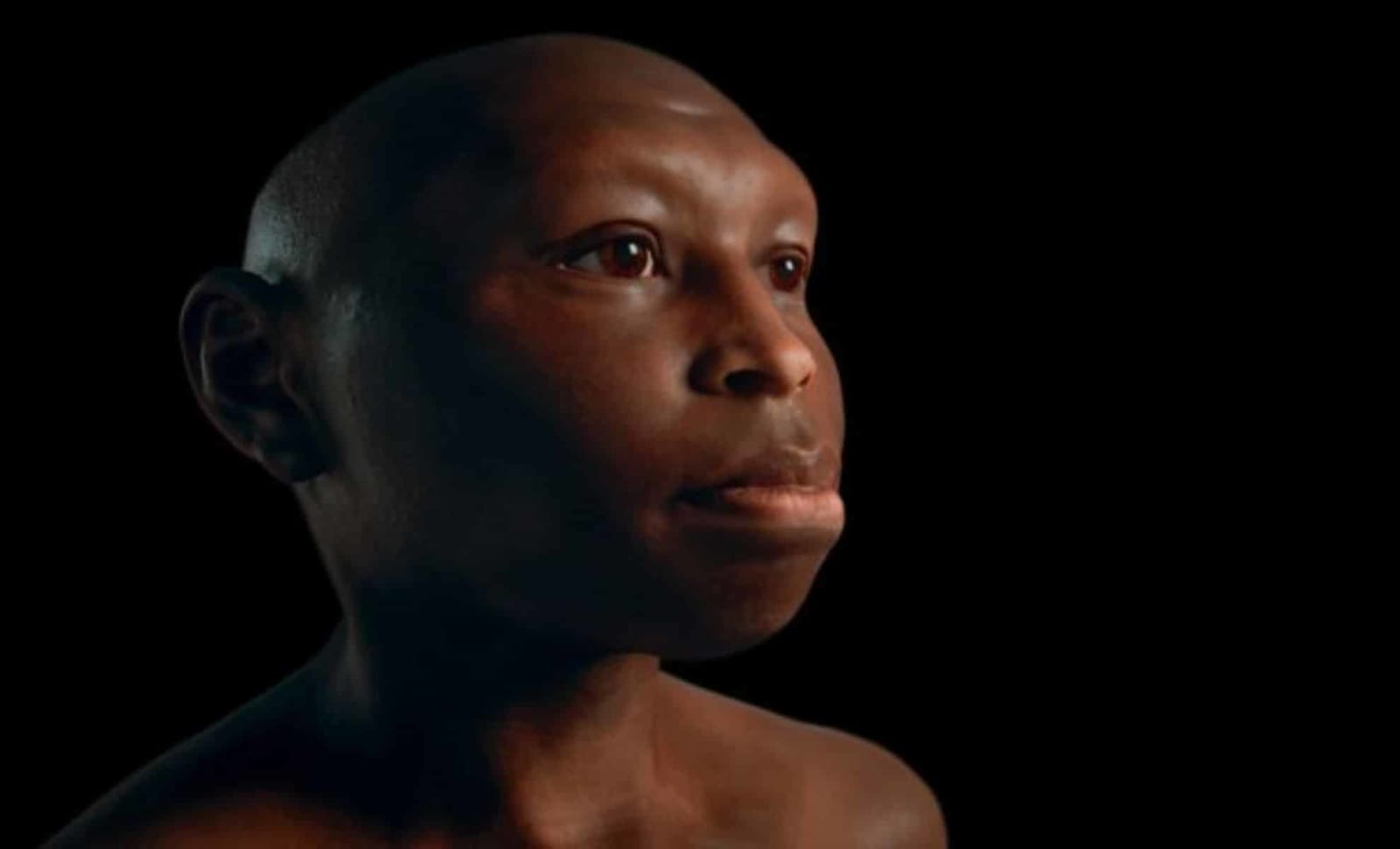 Ancient Humans Brought to Life—See the 3D Faces of the ‘Hobbit ...