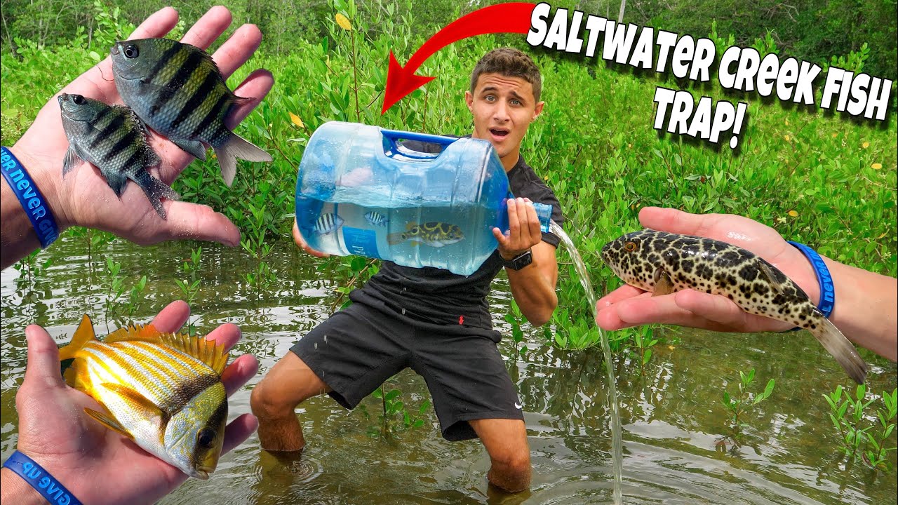 FISH TRAP Catches EXOTIC FISH For My AQUARIUM!!