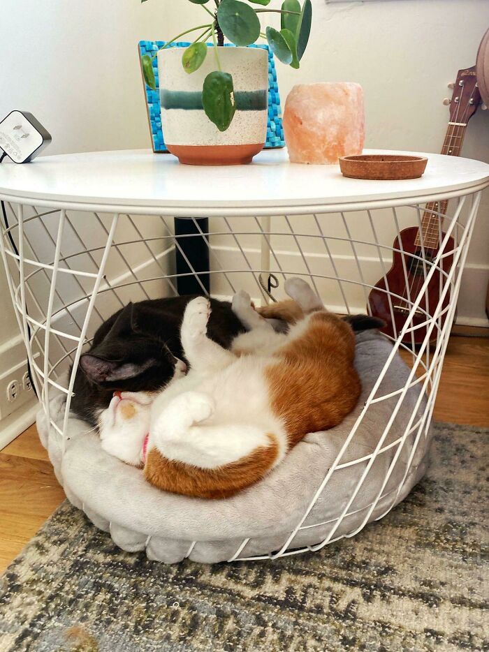 49 Times People Came Up With Genius IKEA Hacks (New Pics)