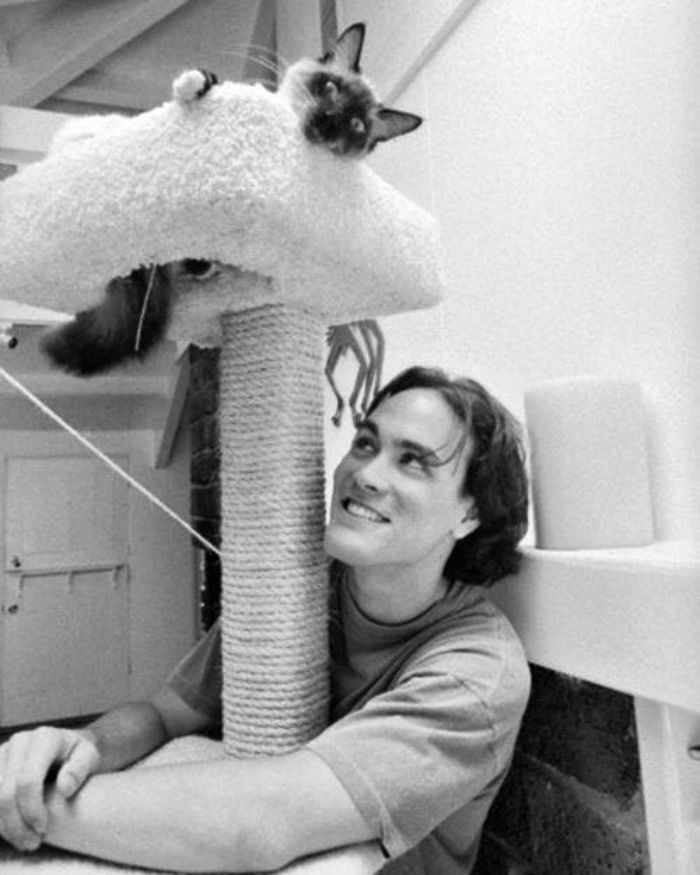 Journalist Collects Vintage Photos Of Cats Posing Together With Famous ...