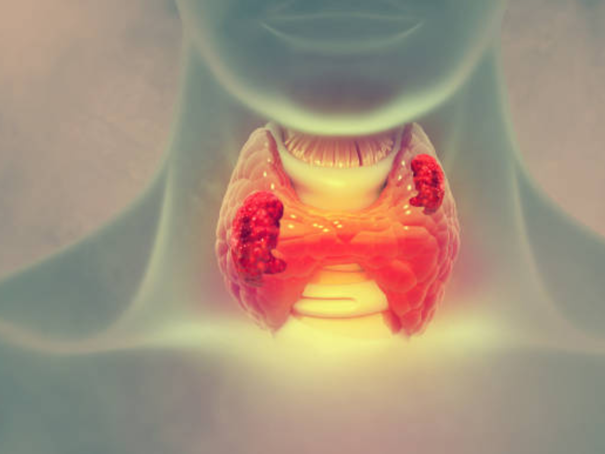 4 foods that support thyroid health naturally