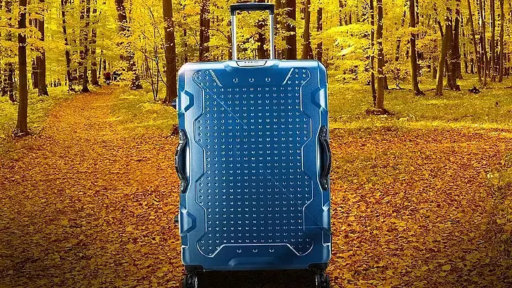 VIP Industries To Achieve 11% Ebitda Margin In FY26: PL Capital's ...