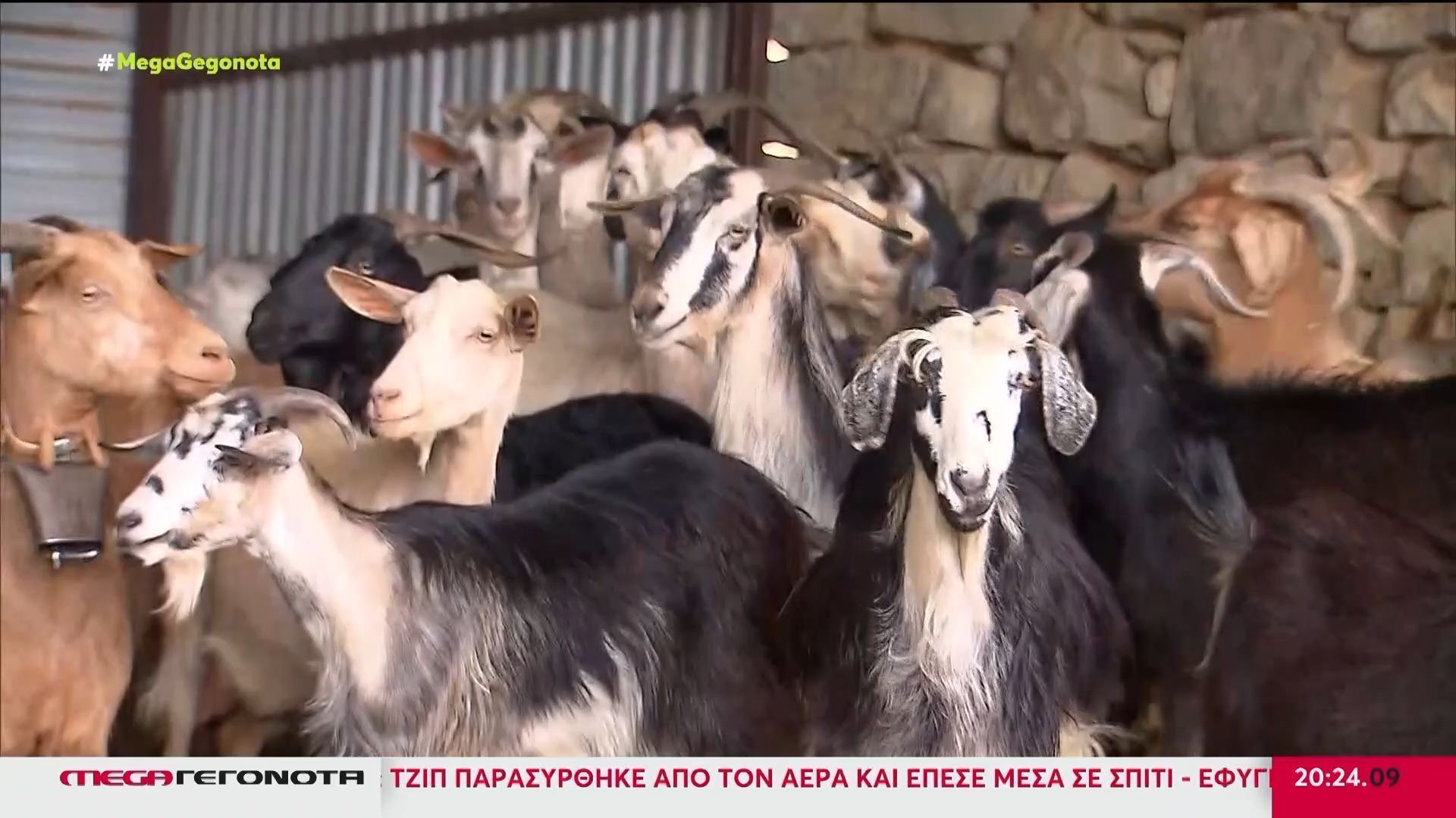 ΟΠΕΚΕΠΕ: Αντιστροφή μέτρηση για την κατάθεση πρότασης προανακριτικής ...